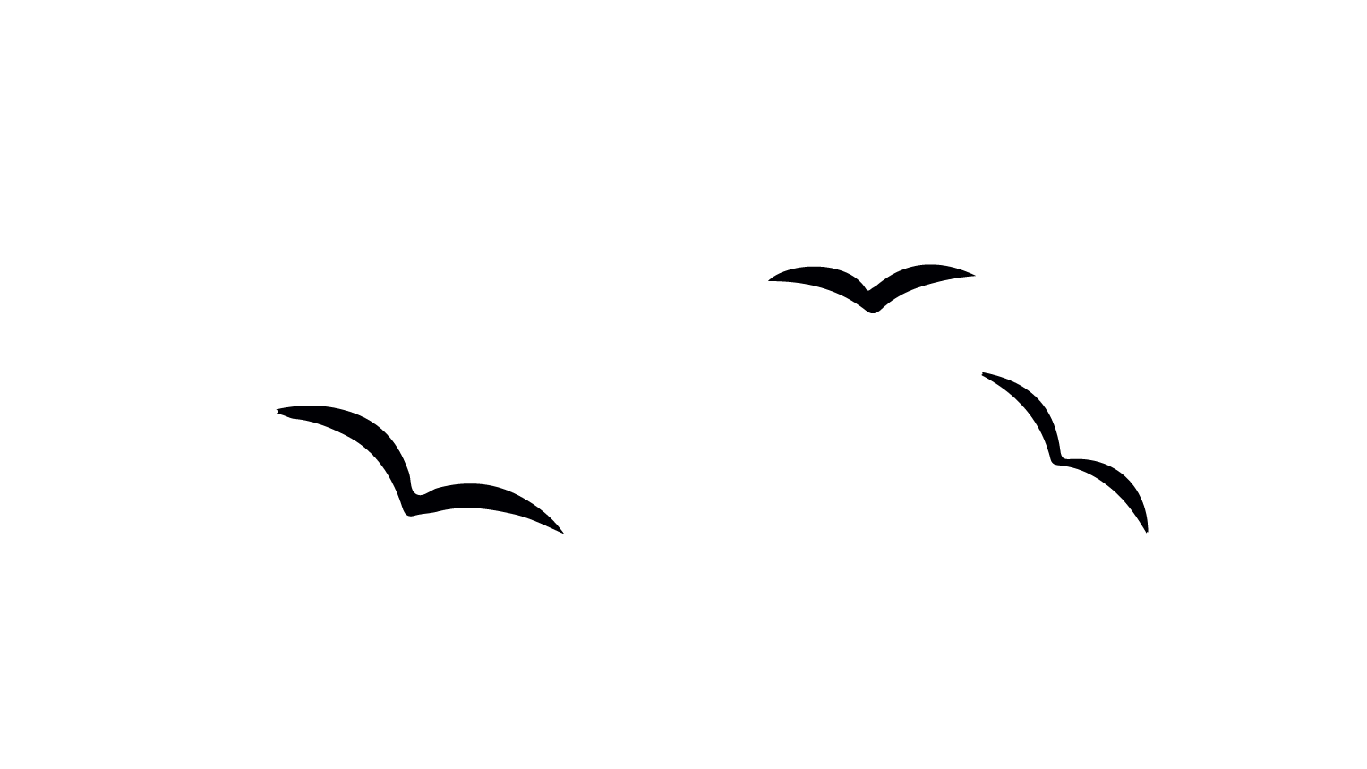 Resources – Feminise Politics Now!